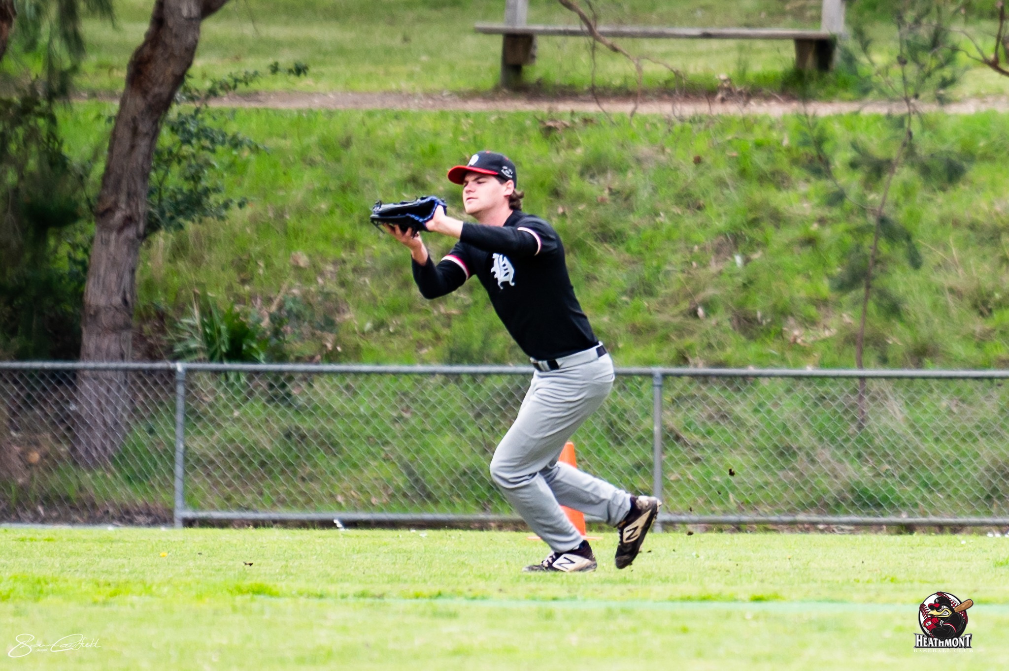 Gallery – Heathmont Baseball Club